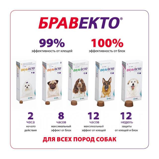 Бравекто препарат от блох, клещей и глистов - Аксессуары во Владивостоке
