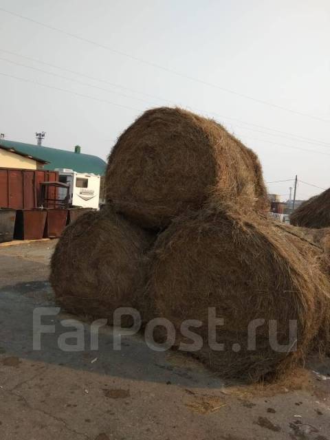 Продам сено, с/х животных, в наличии. Цена: 3 500₽ в Хабаровске