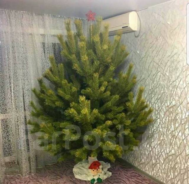 Живая елка, сосна, пихта с доставкой на дом, новый, в наличии. Цена: 1 ...