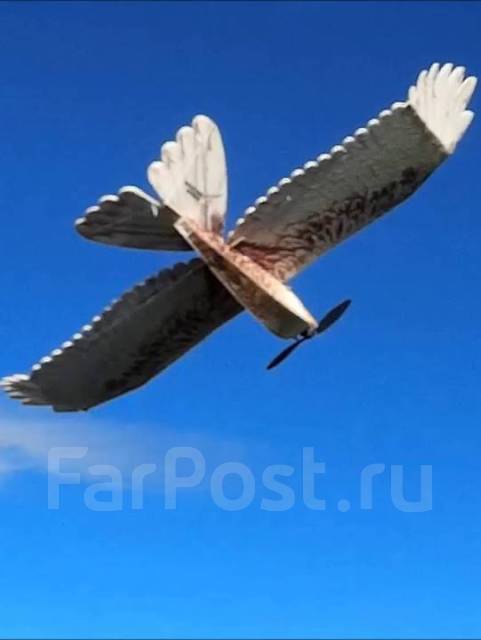 Самолет DW Eagle 2, б/у, в наличии. Цена: 4 000₽ во Владивостоке