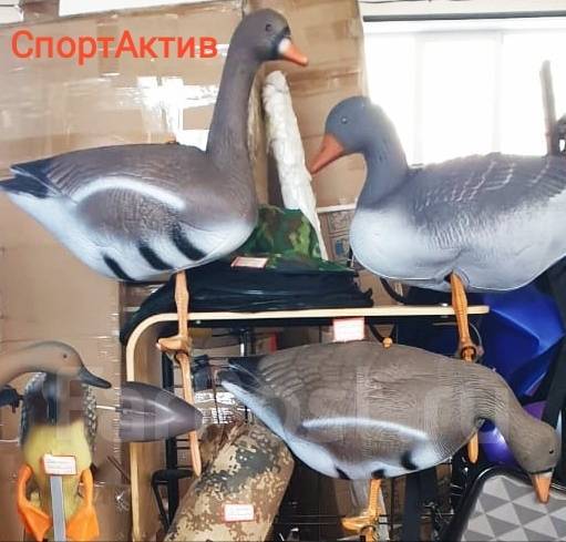 Чучело гуся сторожевого для охоты - Охотничье снаряжение во Владивостоке