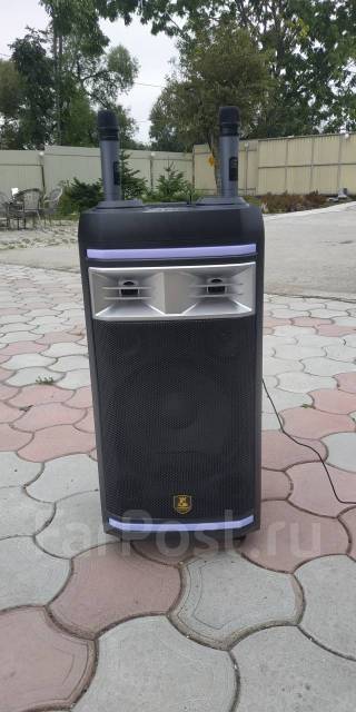 Большая Портативная колонка в дереве - Портативное аудио во Владивостоке