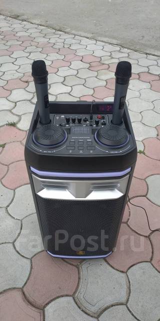 Большая Портативная колонка в дереве - Портативное аудио во Владивостоке