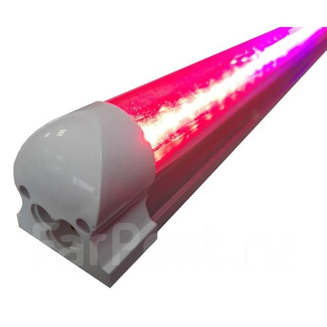 Лампа светодиодная LED T8 ECO 18Вт G13 Фито, новый, в наличии. Цена: 1 ...