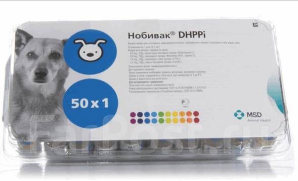 Нобивак Dhppi Вакцина для собак, в наличии. Цена: 318₽ во Владивостоке