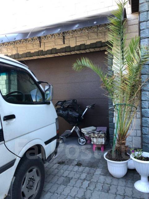 Живая финиковая пальма, в наличии. Цена: 5 500₽ в Уссурийске