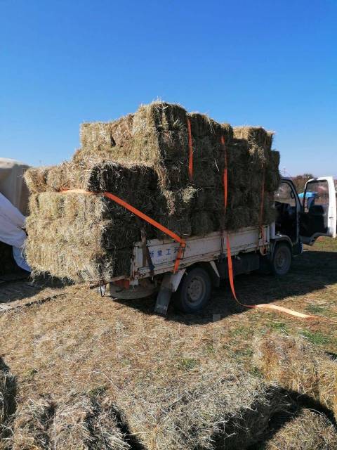 Продам сено в тюках, в наличии. Цена: 180₽ в Уссурийске