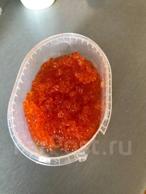Икра кеты 2021 настоящая, вкусная, соленая опт от 100кг 1500руб 0.5кг ...