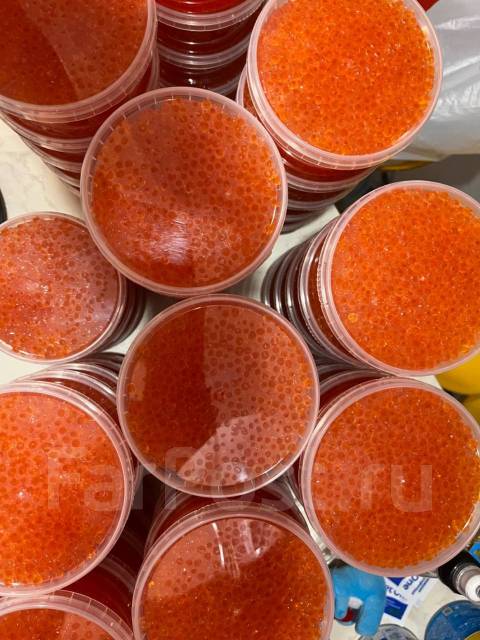 Красная икра! Камчатка! Кижуч! Свежак! Настоящая - Рыба и морепродукты ...