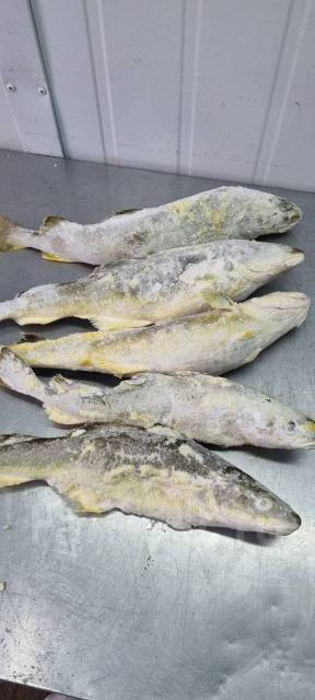 Навага - Рыба и морепродукты в Хабаровске