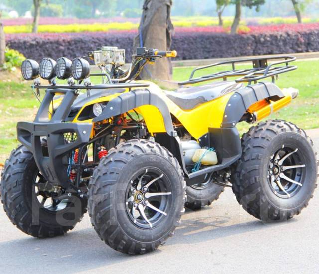 Raptor 300, 2023, 300 куб. см. 4х тактный, без пробега, исправен ...