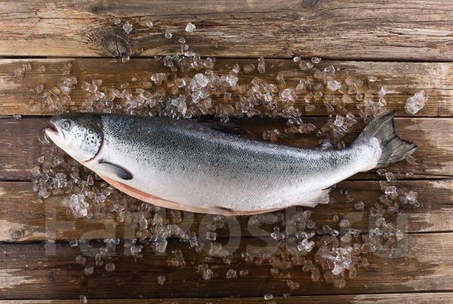 Семга ПСГ, 5-6, Премиум, Чили - Рыба и морепродукты во Владивостоке