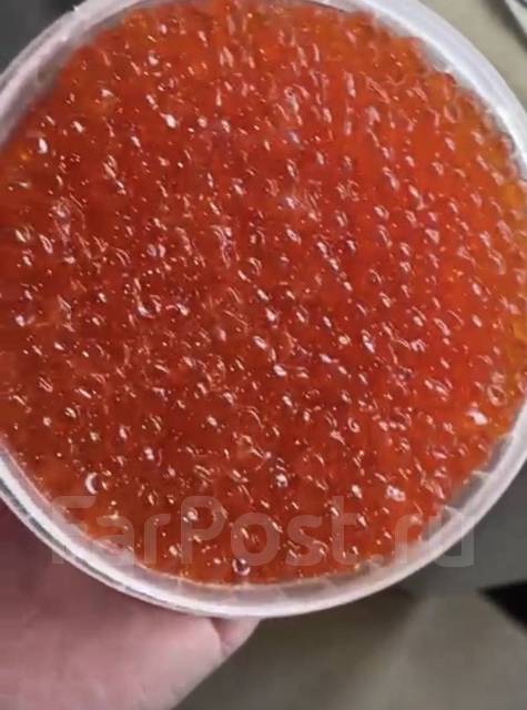 Рыба и икра - Рыба и морепродукты во Владивостоке