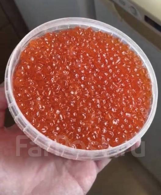 Рыба и икра - Рыба и морепродукты во Владивостоке