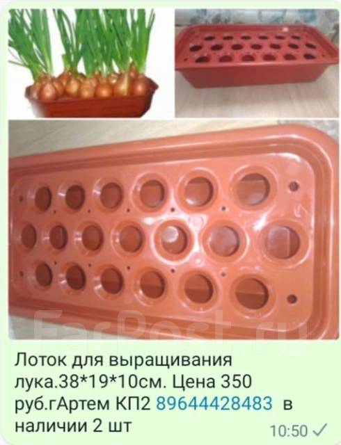 Лоток для лука - Сад и огород в Артеме
