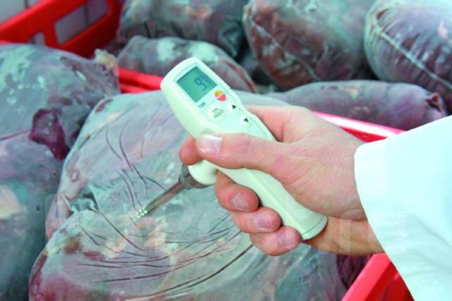 Термометр Testo 105 (термометр для замороженных продуктов с щупом 90 ...