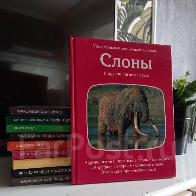 Книги - Обмен во Владивостоке