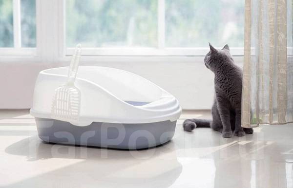 Туалет для кошек Xiaomi Semi-Open Cat Litter White - Хозтовары во ...