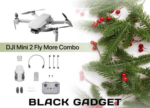 Квадрокоптер Dji Mavic Mini 2 Fly More Combo! Новый! Гарантия! В ...
