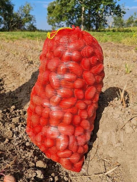 Картофель из села Ясное! На выбор 8 сортов, в наличии. Цена: 40₽ в Артеме