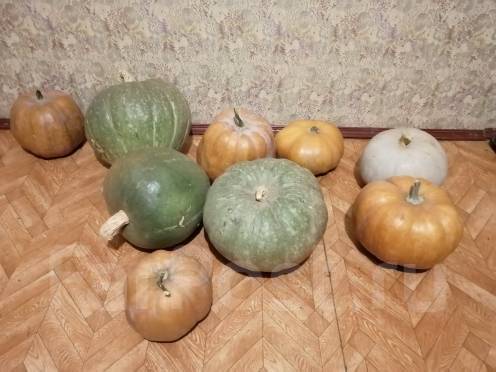 Продам домашнюю тыкву - Домашние продукты во Владивостоке