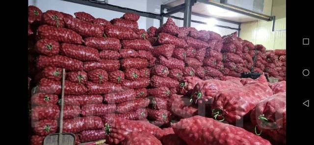 Картофель свежий, в наличии. Цена: 17₽ во Владивостоке