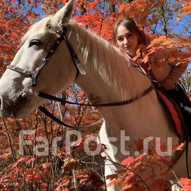 Доставим подарок. Конная прогулка для двоих 1 час, всем, в наличии ...
