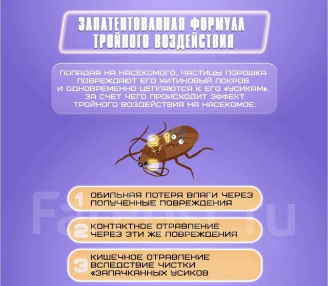 Gektor (Гектор) Средство Против Тараканов, 100г, новый, в наличии. Цена ...
