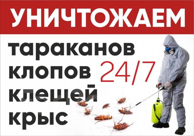Уничтожение тараканов, клопов, блох, запах, клещ, крыс. Гарантия 100% ...
