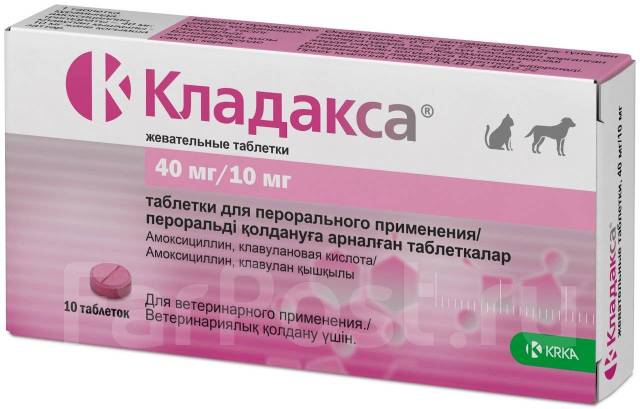 Кладакса жевательные таблетки 40 мг/10мг, 10 таб, собак, кошек, в ...