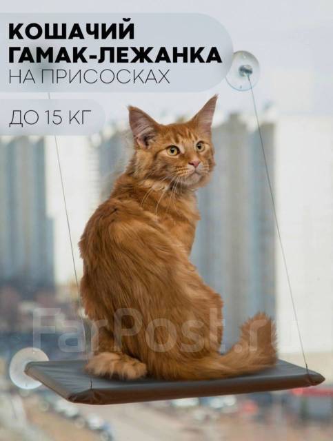 Гамак на окно для кошек, в наличии. Цена: 1 100₽ во Владивостоке