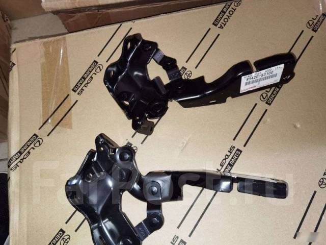 Петля капота Lexus Is 250 5341053100 купить в Москве по цене: 5 500 ...