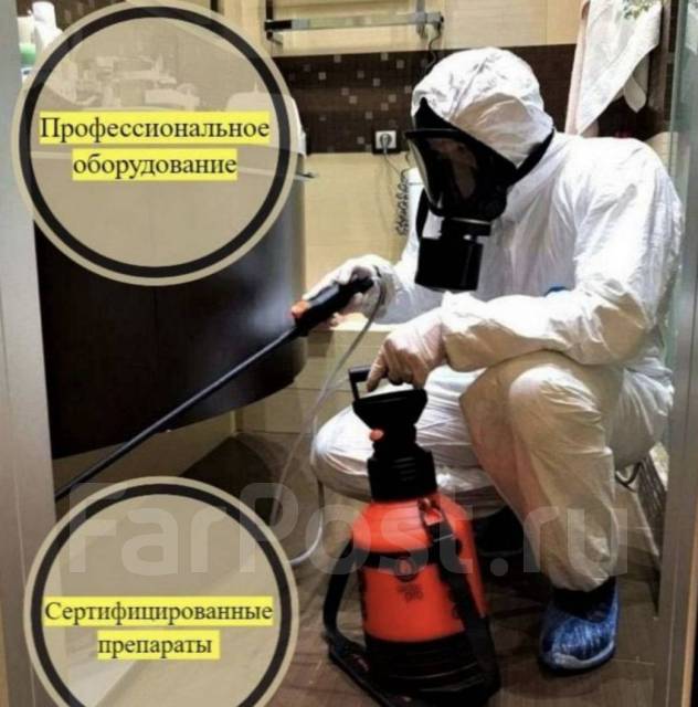 Уничтожение, обработка, потравить, туманом, таракан, клоп, блох. Клещ ...