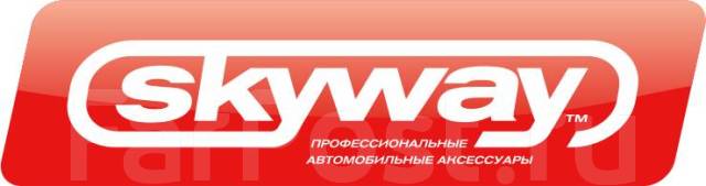 Пылесос 12 В Skyway Торнадо 60 Вт 4000Па с подсветкой 4 насадки в сумке ...