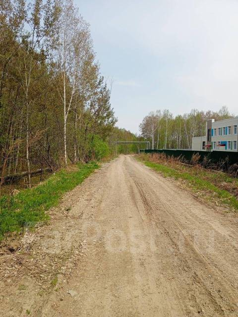 Земля 22 сотки в с. Матвеевка, 2 200 кв. м. аренда, есть подъездные ...