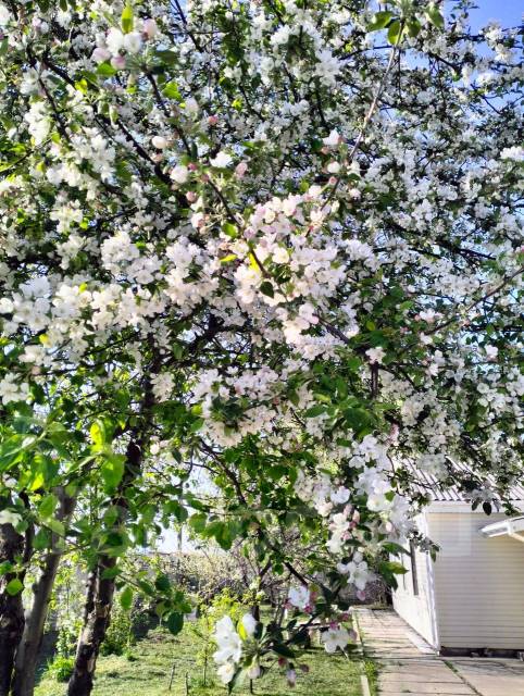 Кирпичный дом 86 кв с ком услугами 86 0 кв м собственность скважина Цена 8 200 000₽ в