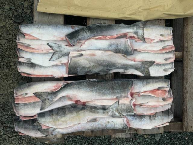Горбуша ПБГ, в наличии. Цена: 350₽ во Владивостоке